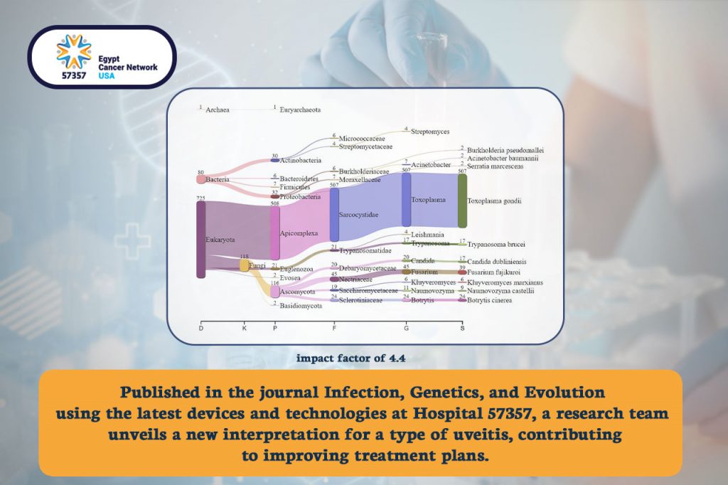 Egypt Cancer Network USA